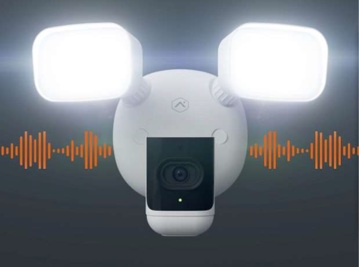 AI見守り ビジネス分析システム | 株式会社サイチ